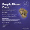 Purple Diesel Daze (PDD) | Vireo | Whole Flower - Jane