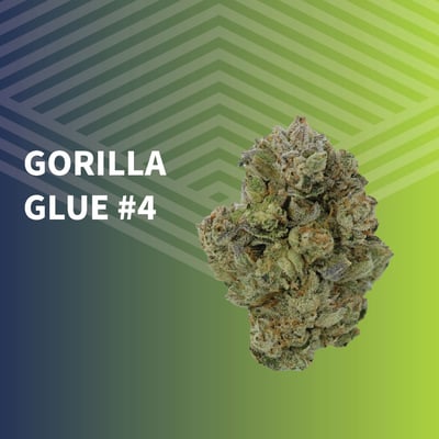 Shop Medical Marijuana in Fargo - Pure Dakota Health