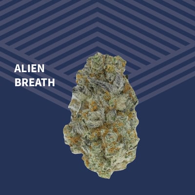 Shop Medical Marijuana in Fargo - Pure Dakota Health