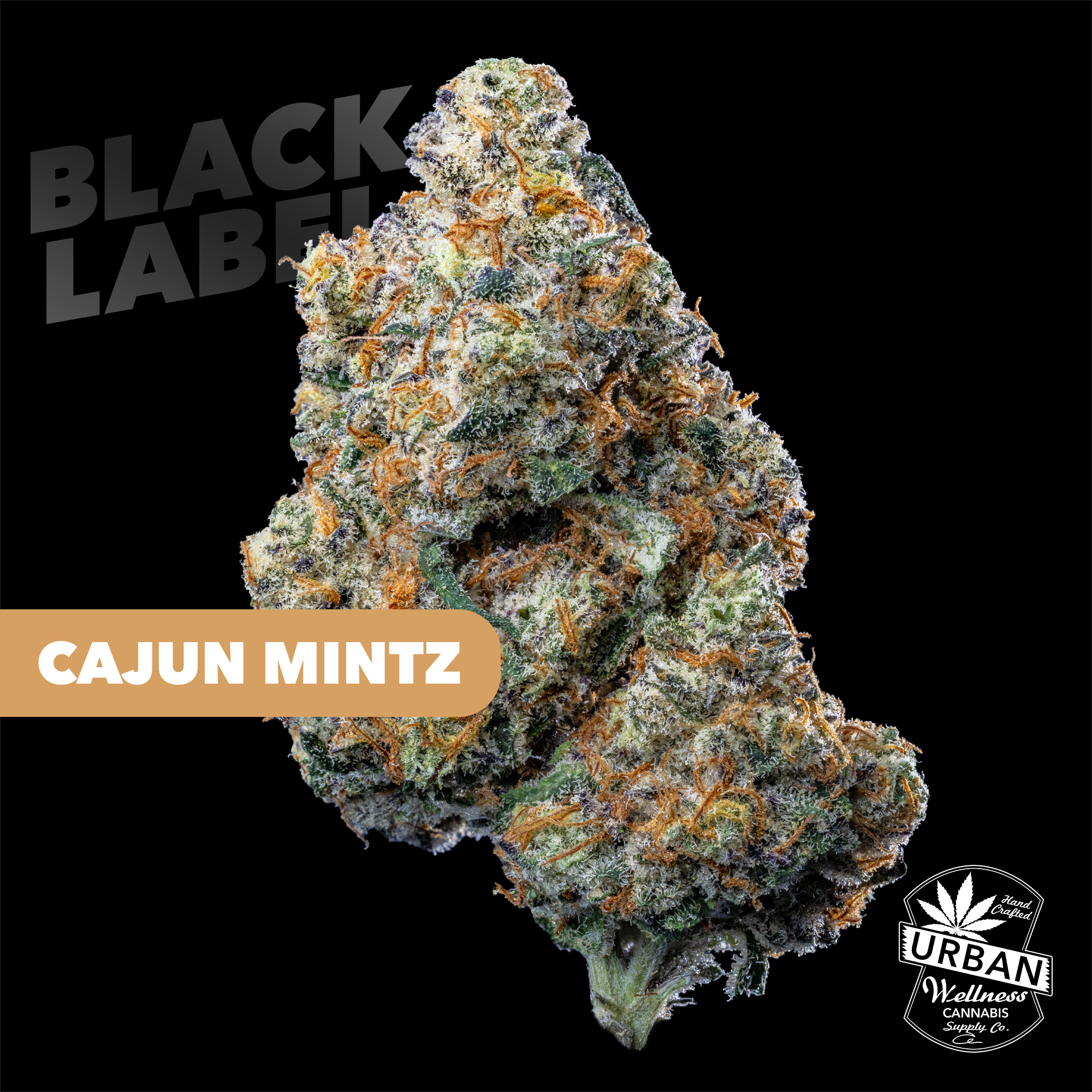 Shop Black Label - Cajun Mintz | Urban Wellness - 98th Dispensary ...