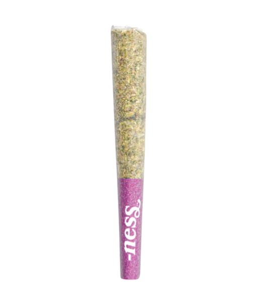 Wasabi [.5g] | Ness | 3 Pack Pre Roll - Jane