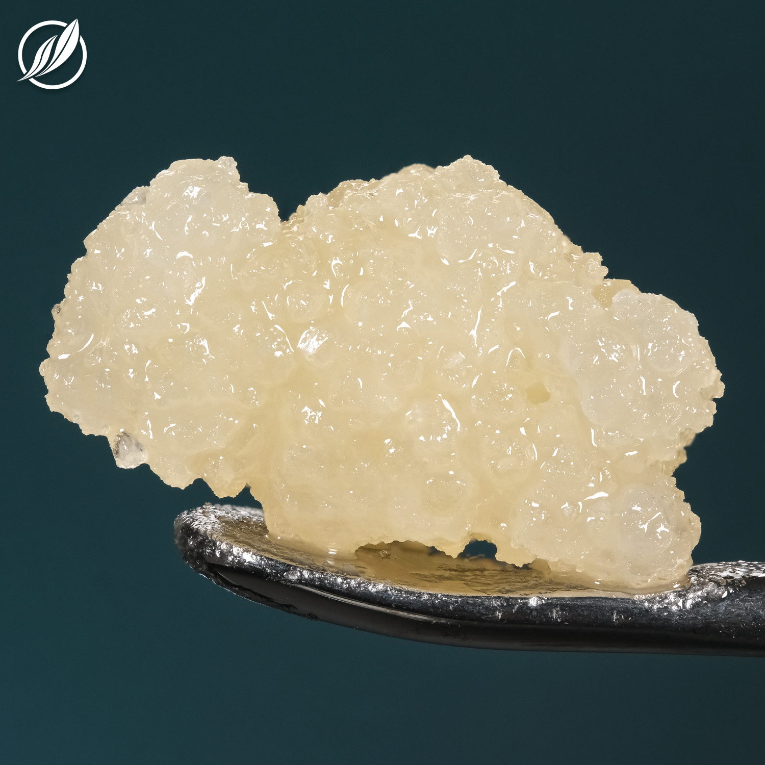 Motorbreath BHO Live Resin Sugar T74.62 H 24124 | CTPharma | Live Sugar ...