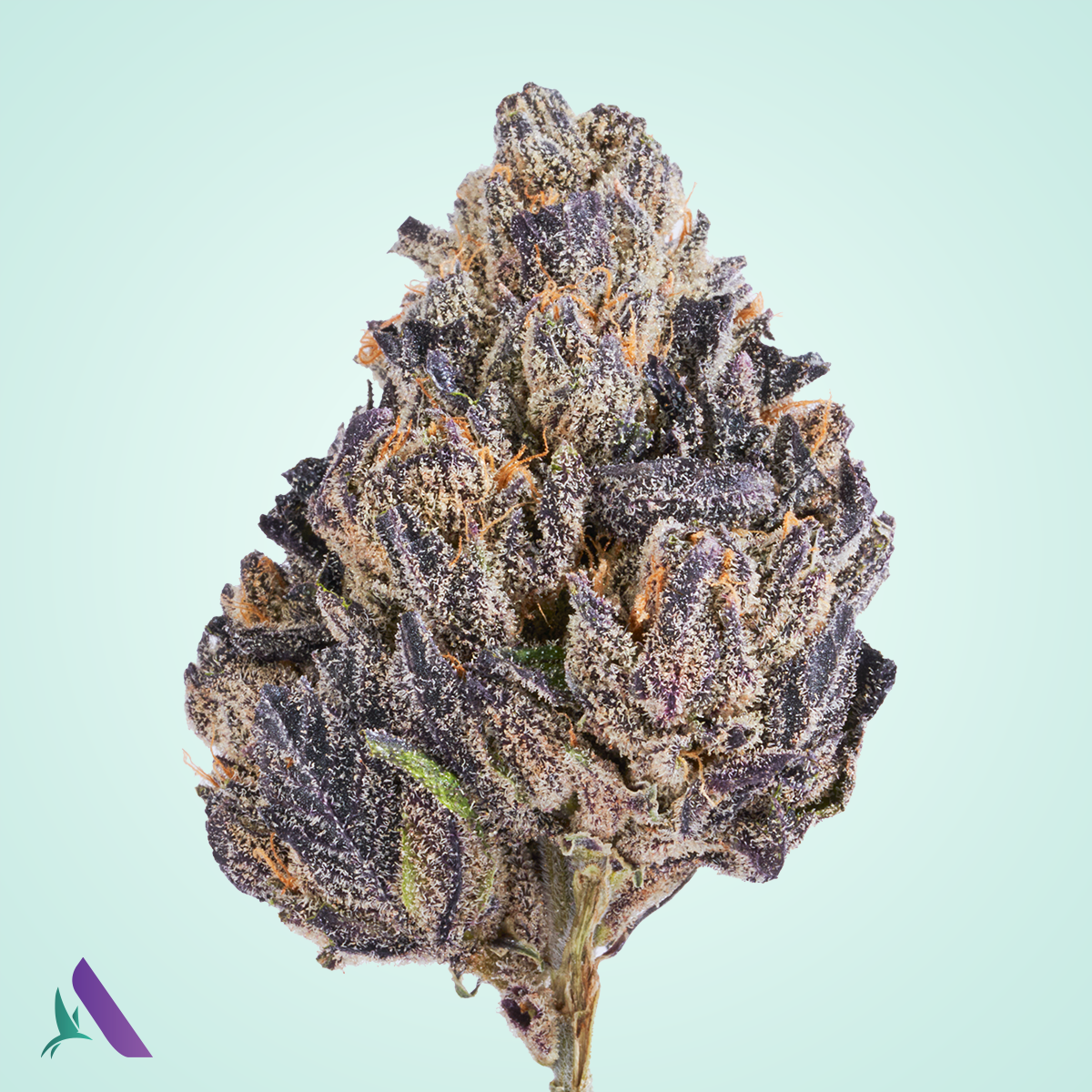 Shop Affinity Grow - Lemon Skunk (S) Flower C0090000708 | Fine Fettle ...