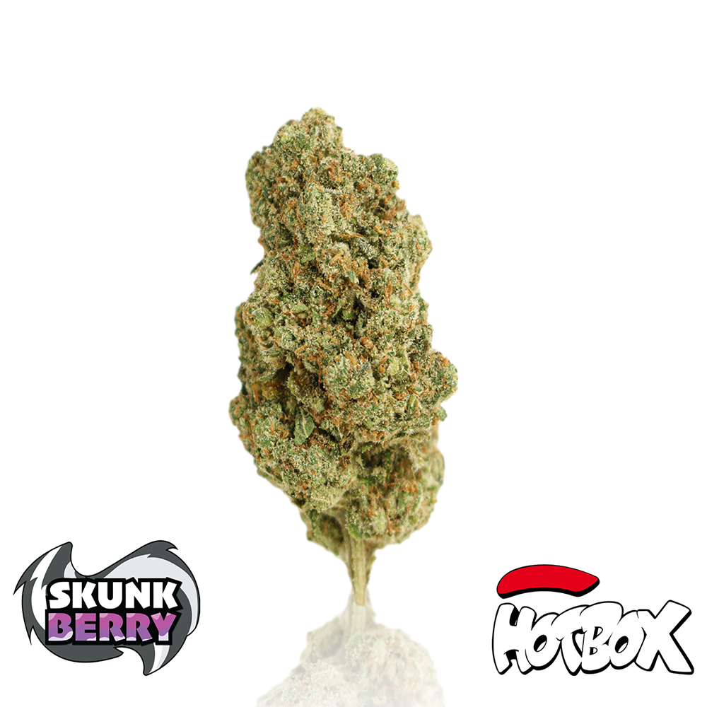 Buy HOTBOX Skunkberry - Cookies Mission Valley Dispensary