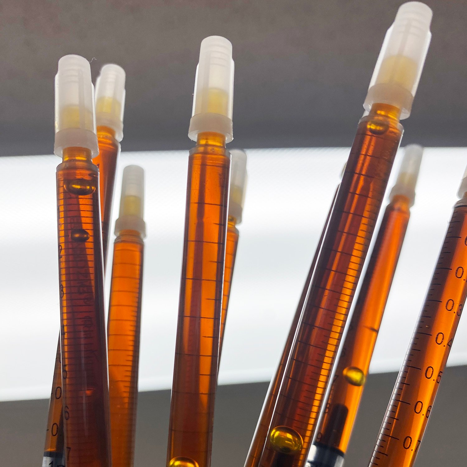 1:1 Harlequin Cake | West Edison | Activated Oil - Jane