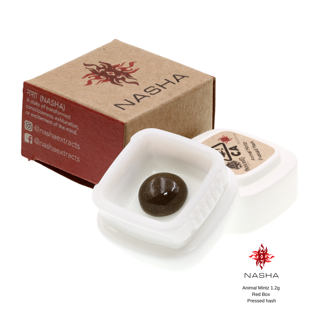 Animal Mintz | Nasha | Red Pressed Hash (Pacific Roots) - Jane