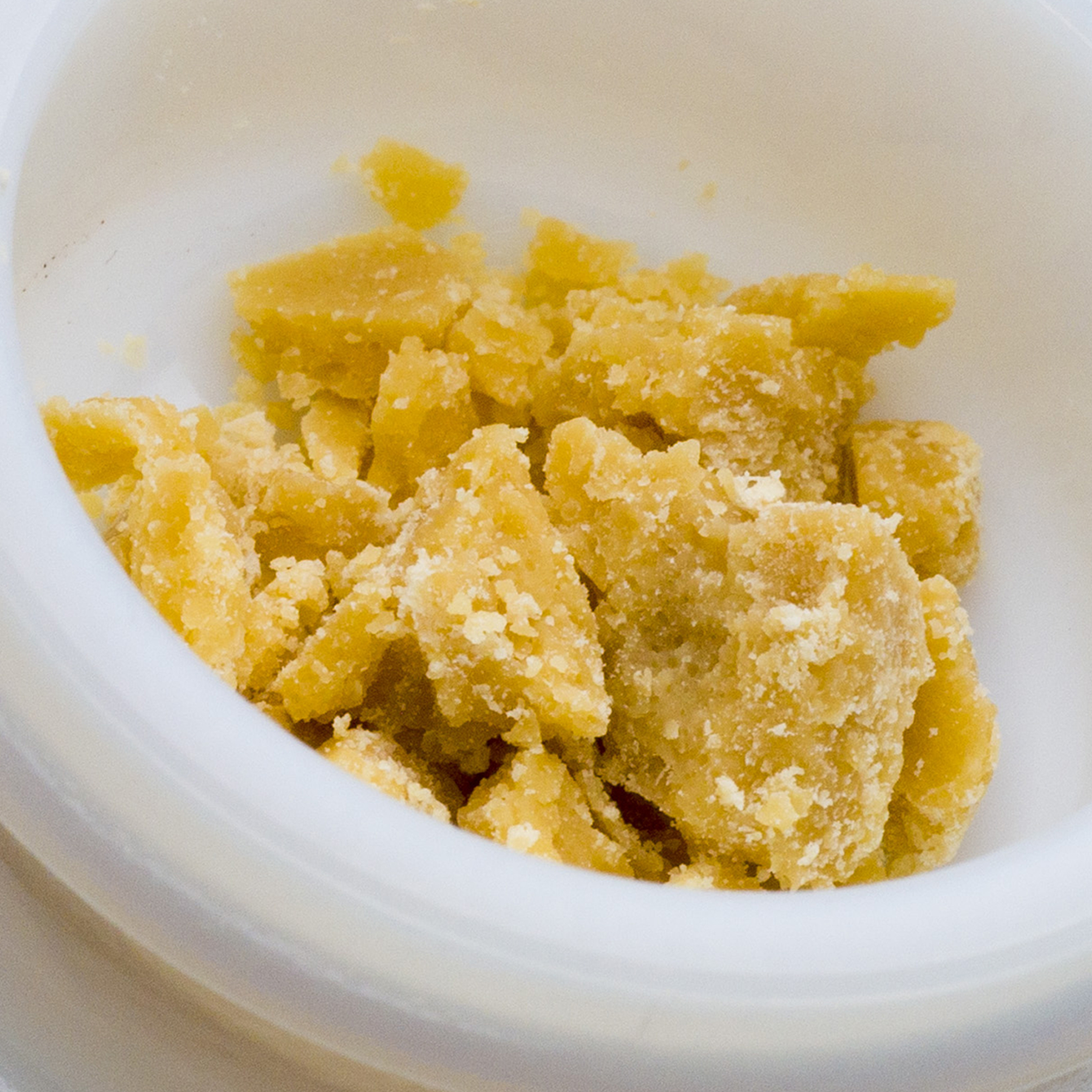 Wedding Topper | Lab | Cured Wax - Jane