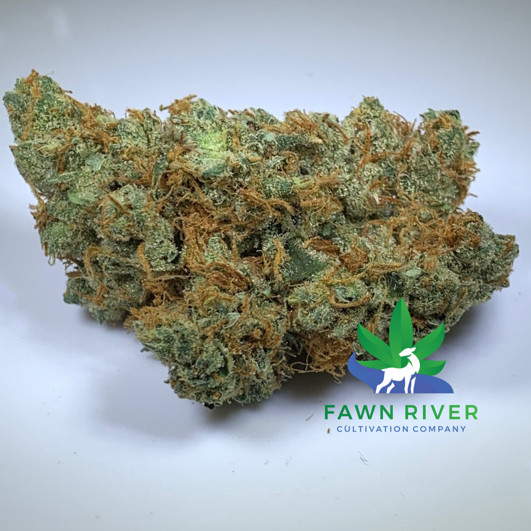 Super Lemon G | Fawn River - Jane
