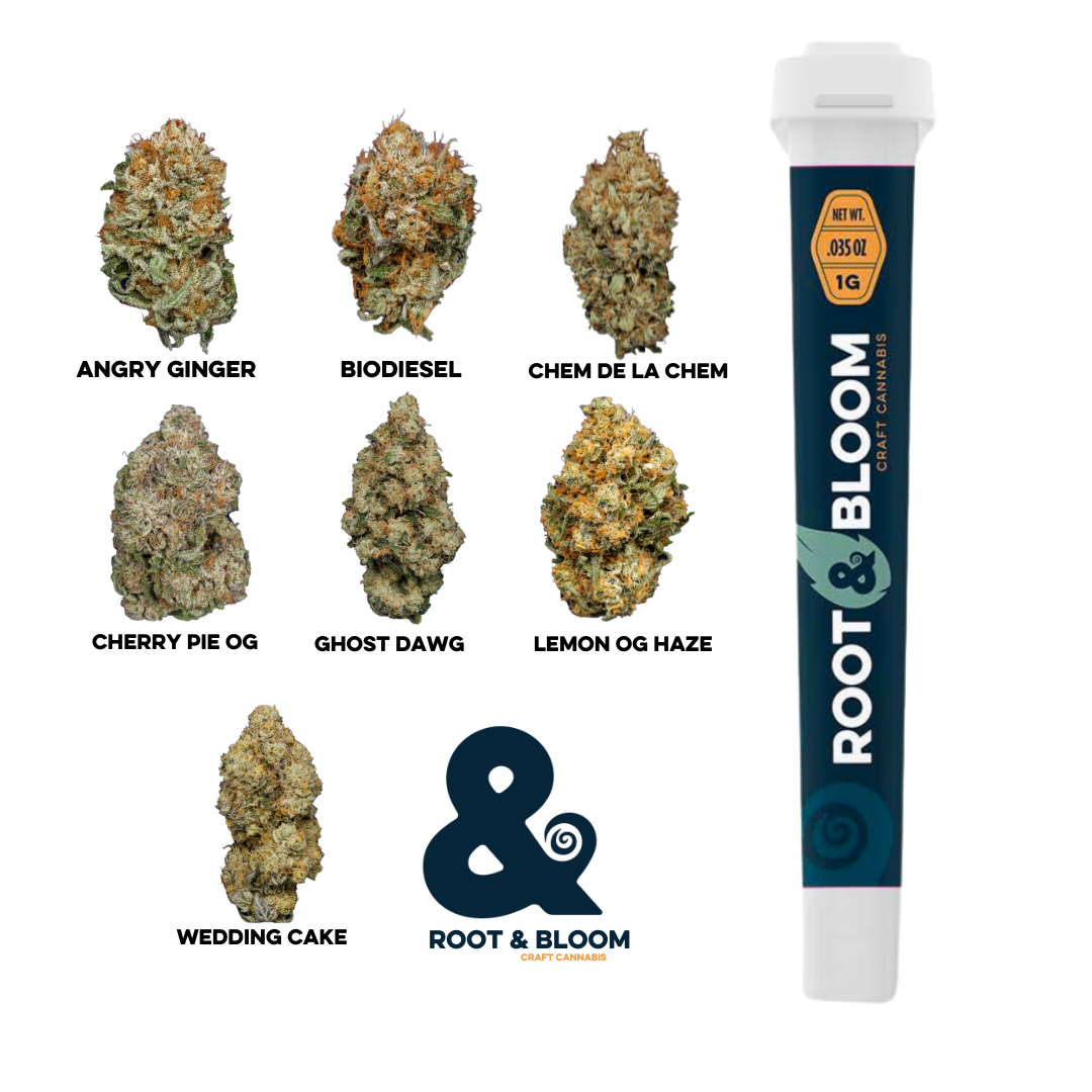 Ghost Dawg [1g] | Root & Bloom | Pre Roll - Jane