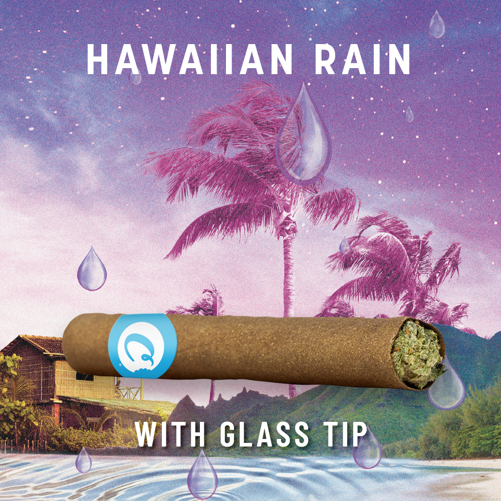 Hawaiian Rain [2g] | Cookies | Blunt - Jane