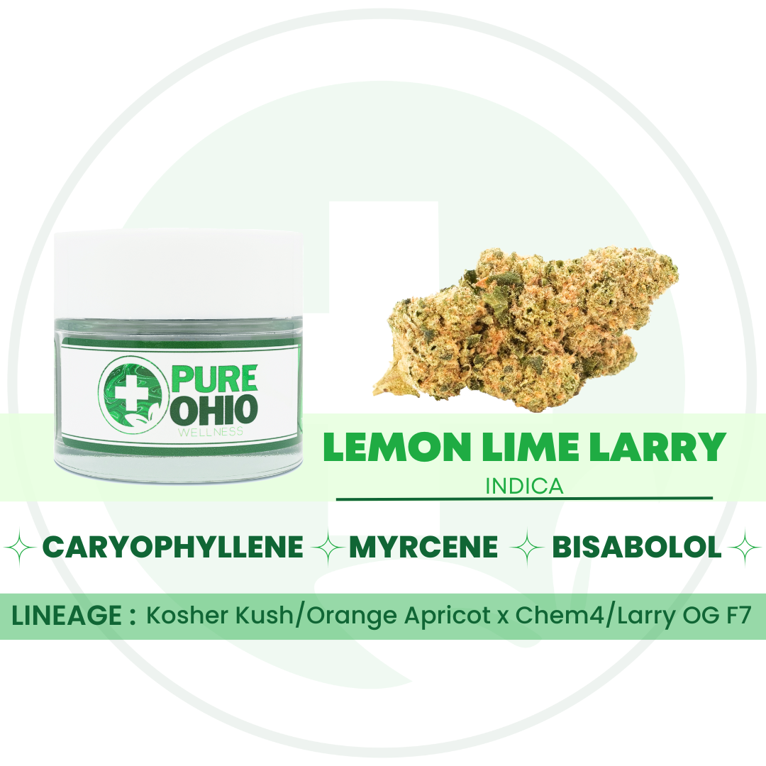 Lemon Lime Larry - 2.83g Whole Buds - Indica | Pure Ohio Wellness | Bloom