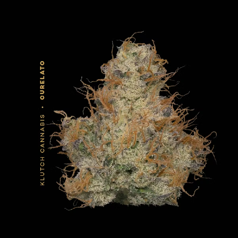 Curelato - 2.83g Whole Buds - Hybrid | Klutch Cannabis | Bloom