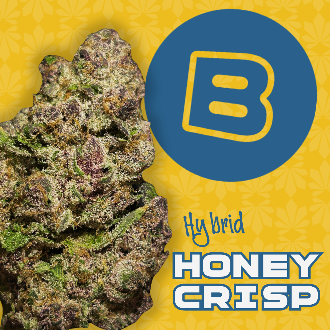 Honey Crisp - 2.83g Whole Buds - Hybrid | Buckeye | Bloom