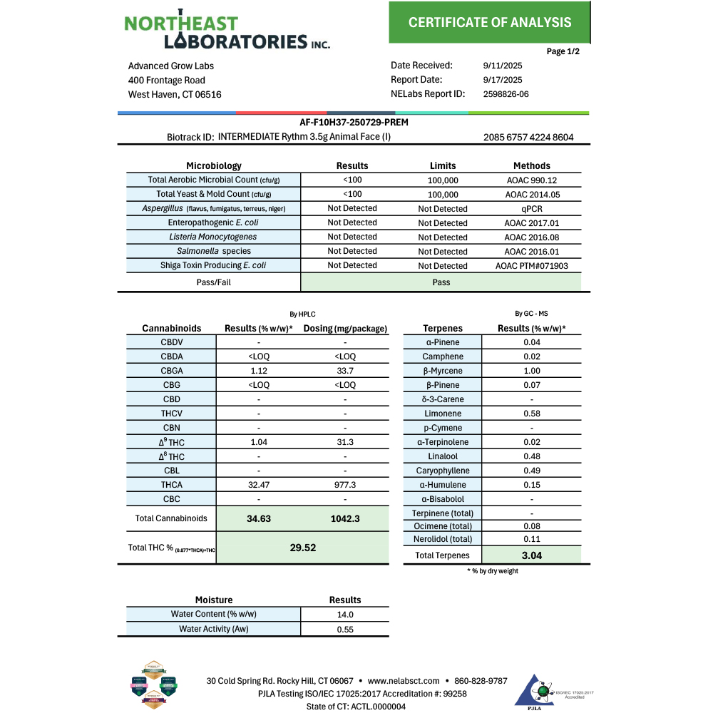Rythm 3.5g Animal Face (I) 00932