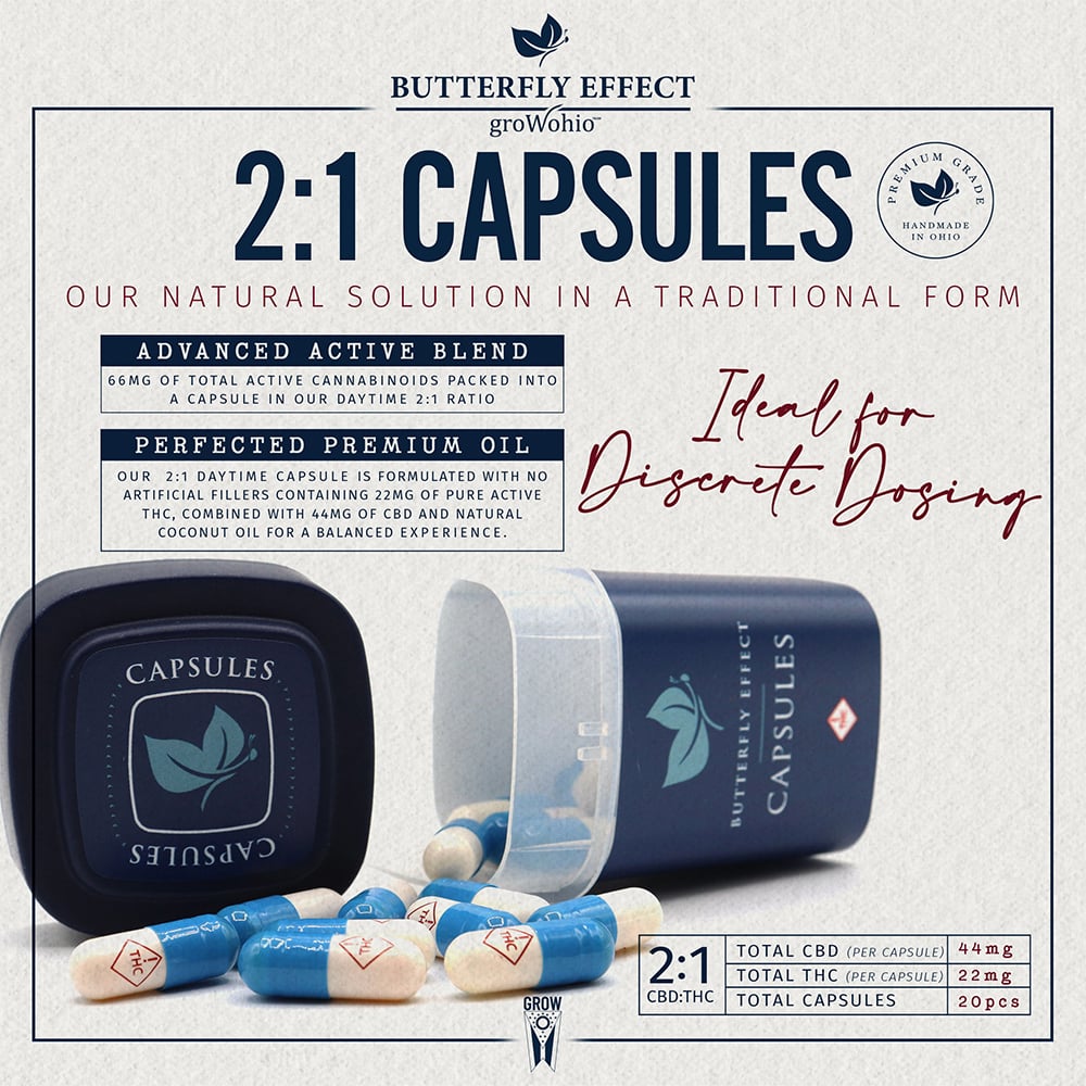 2:1 440mg Capsules | Butterfly Effect | Butterfly Effect Premium ...
