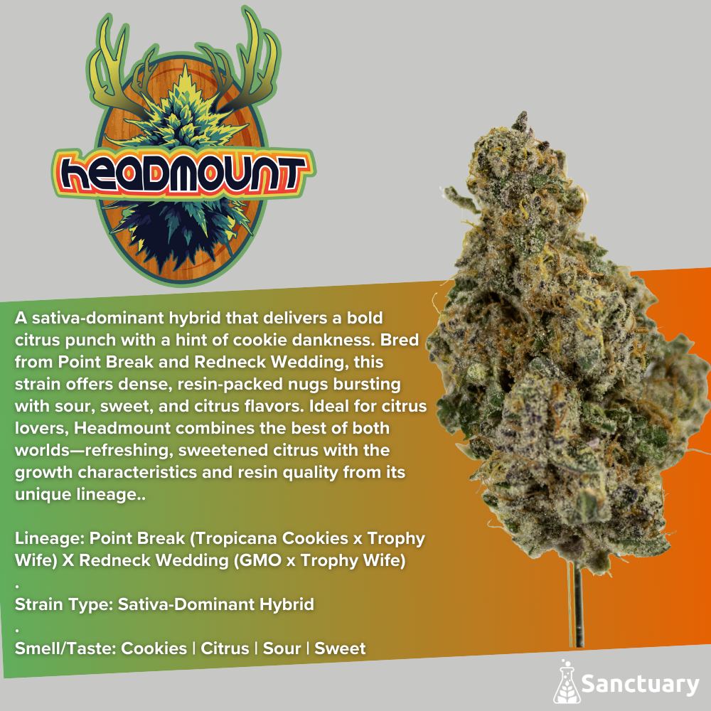 Shop Whole Buds - Headmount | Jane