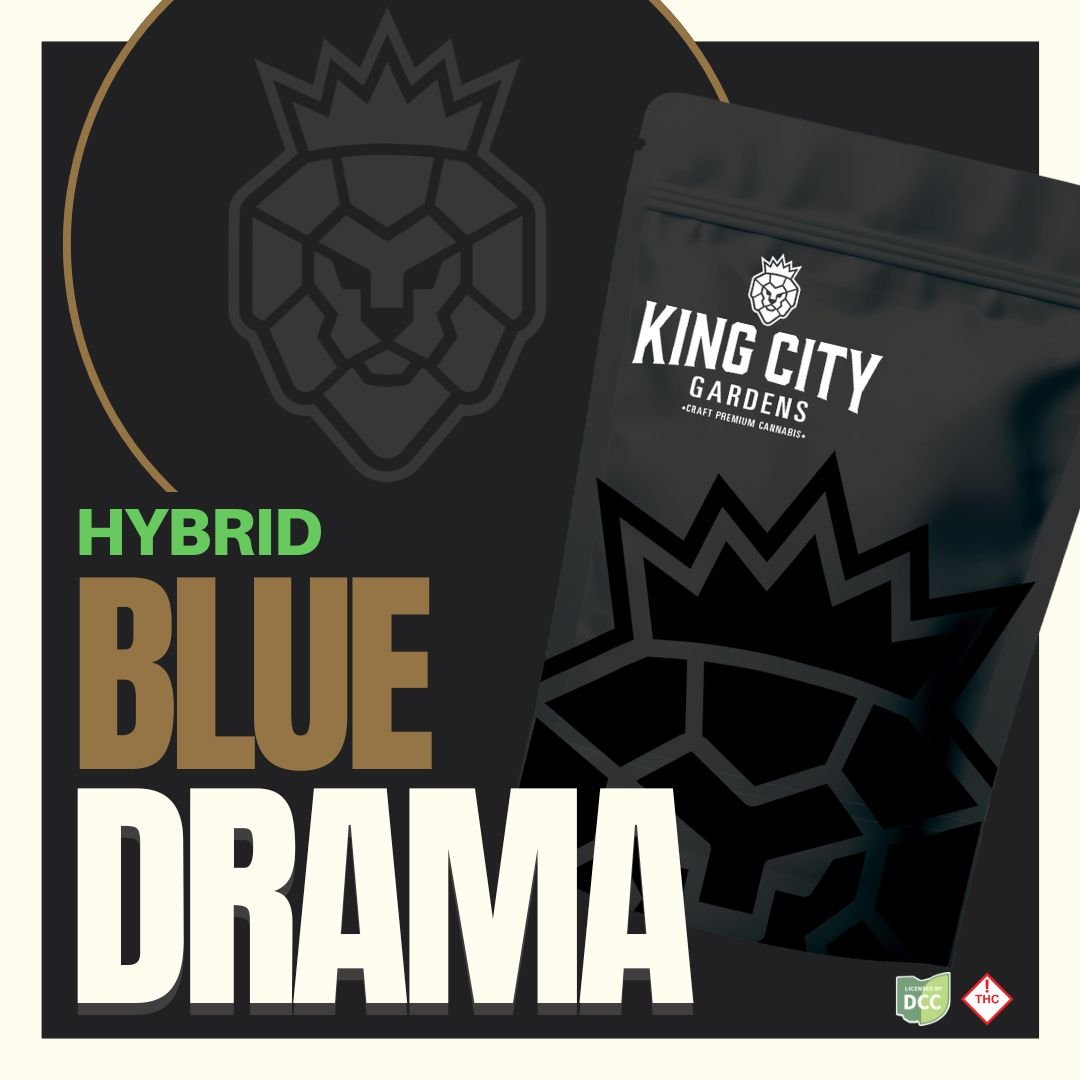 Blue Drama - 14.15g Smalls - Hybrid | King City Gardens | Bloom