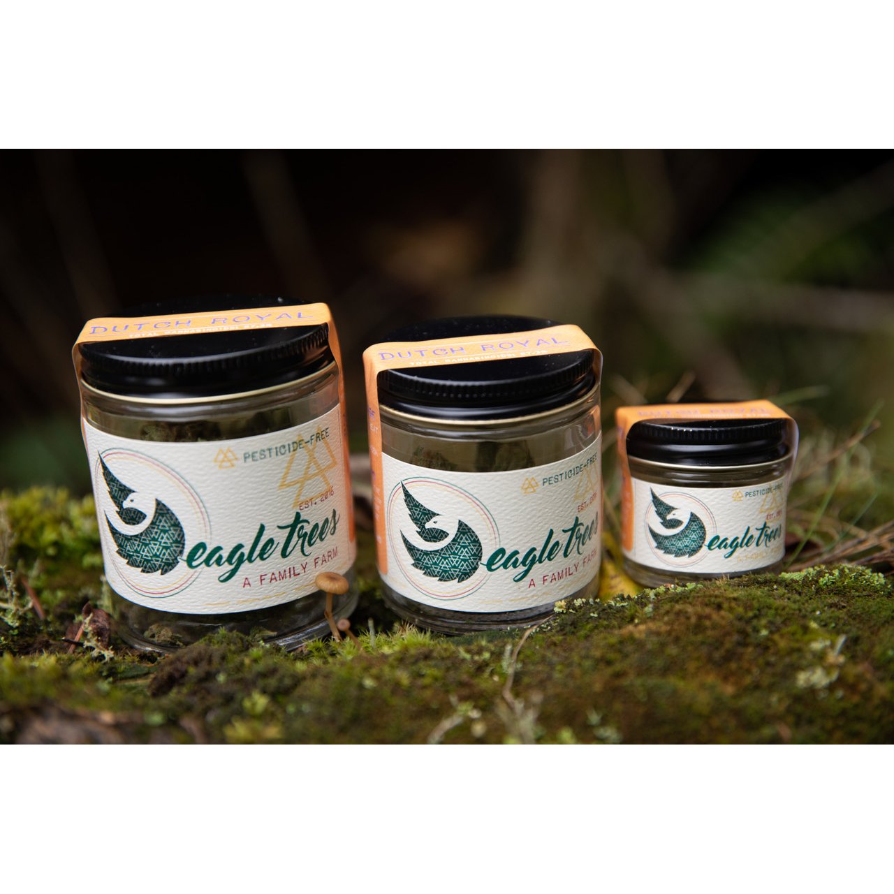 B-Buds - Tulsi Rose | Eagle Trees | B-Buds - Jane