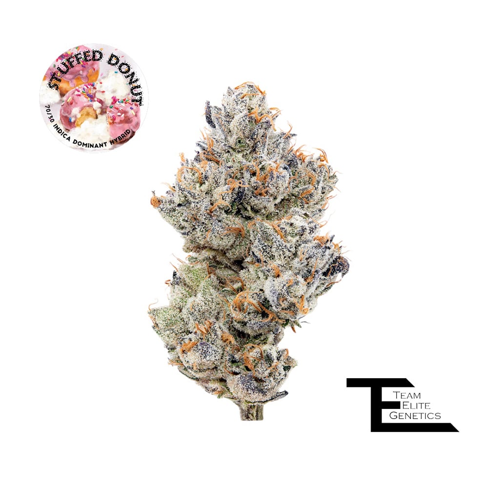 Team Elite Genetics Stuffed Donut - Catalyst Cannabis Dispensaries in CA