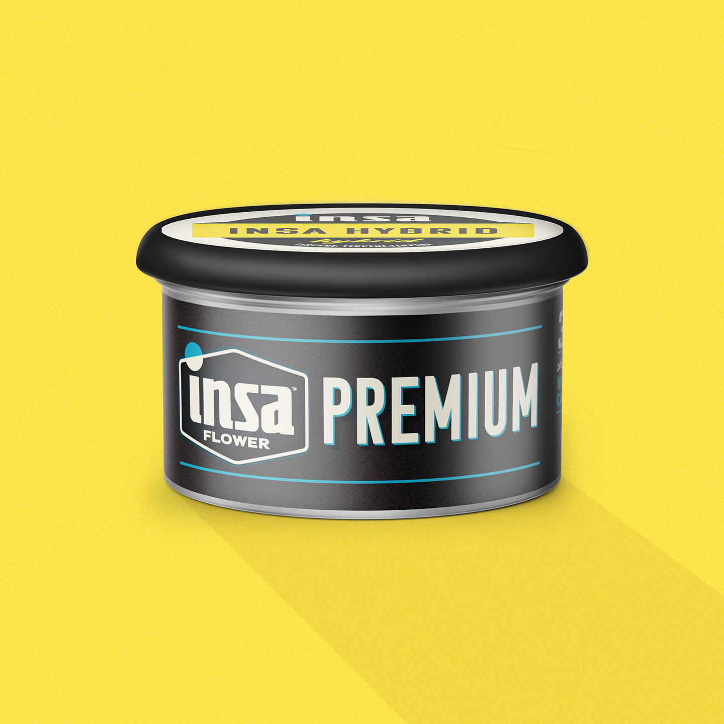 Sunshine #4 | Insa | Premium - Jane