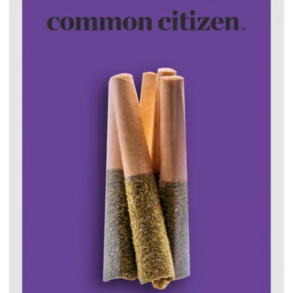 Jungle Mac [.35g] | Common Citizen | 5 Pack Pre Roll - Jane