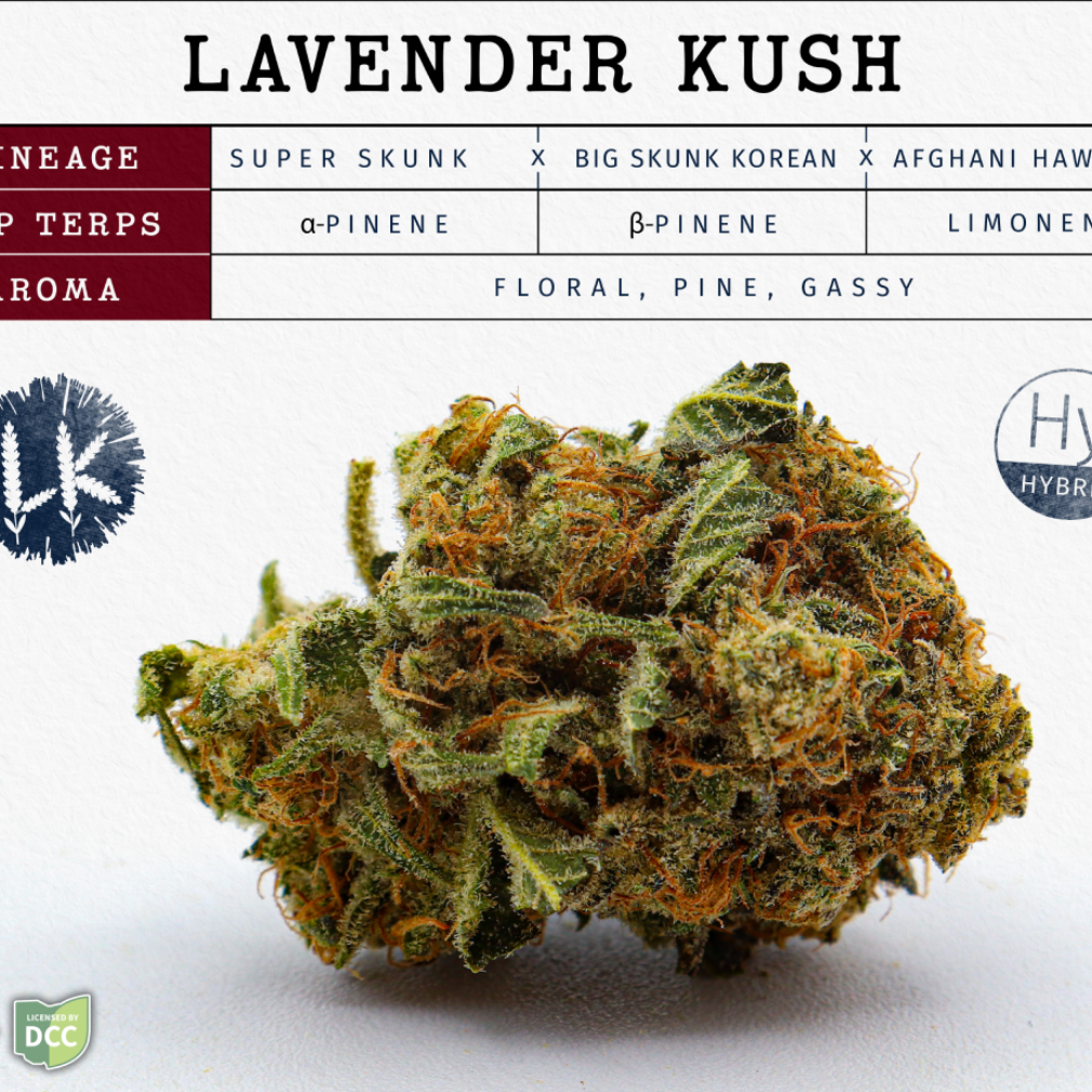 Lavender Kush - 28.3g Whole Buds - Hybrid | Butterfly Effect | Bloom