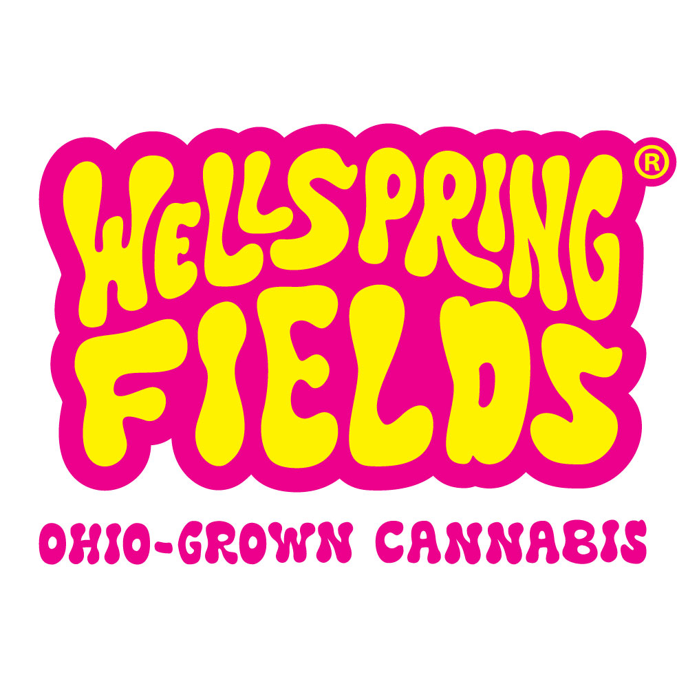 Extra Strength Orange Soda - 200mg Drinks - 2pk | Wellspring Fields | Bloom