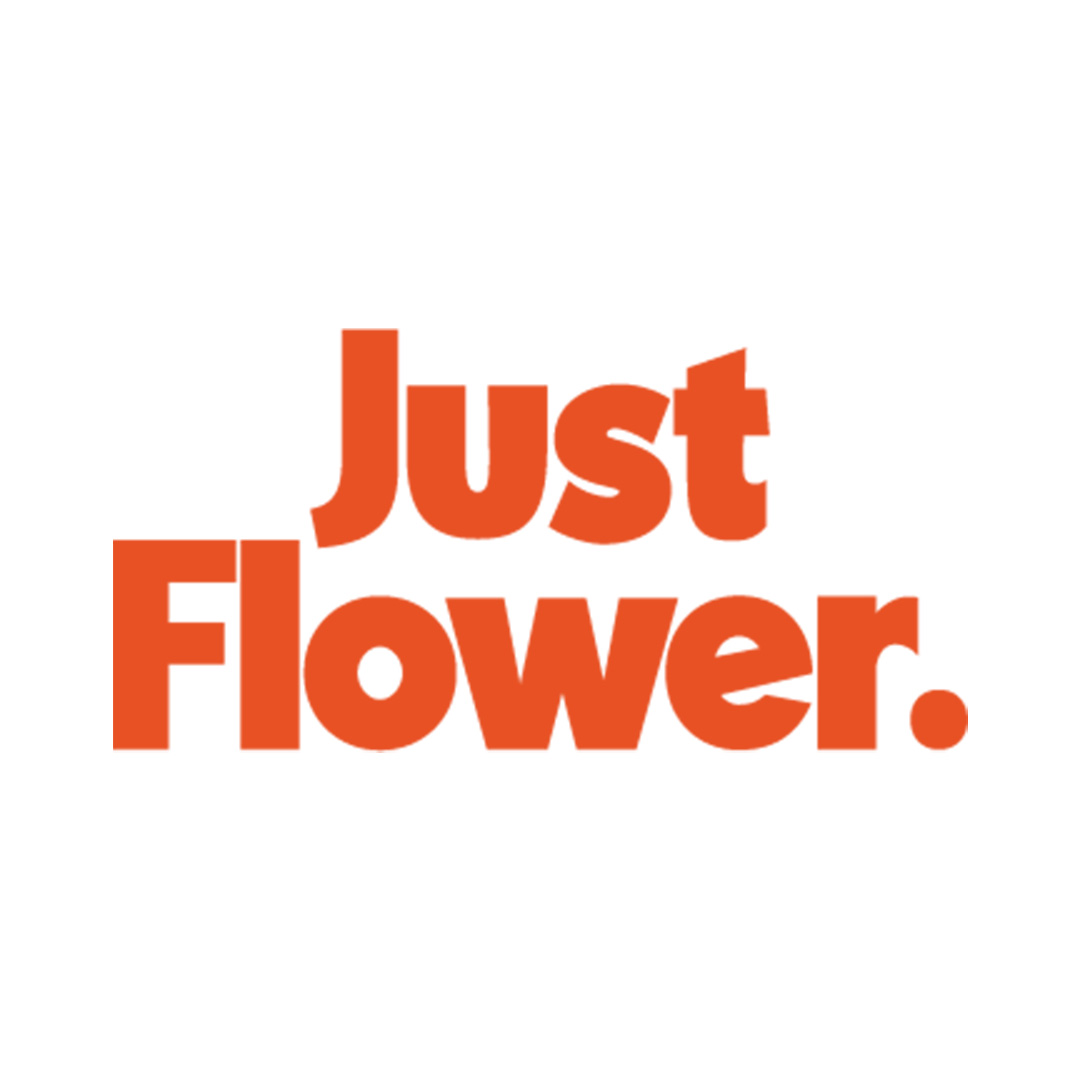 White Truffle [1g] | Just Flower | Pre Roll - Jane