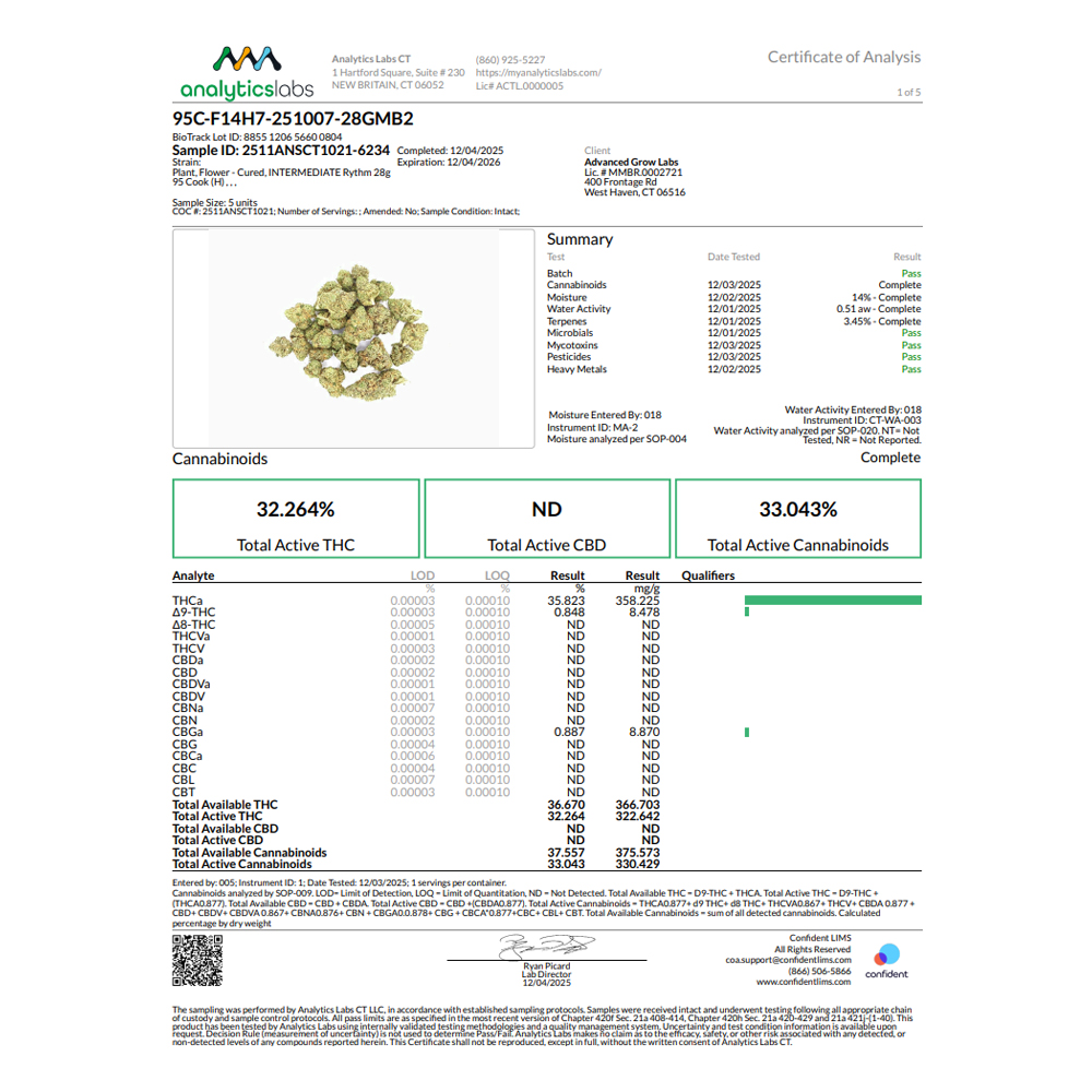 Rythm 28g 95 Cook (H) 01134
