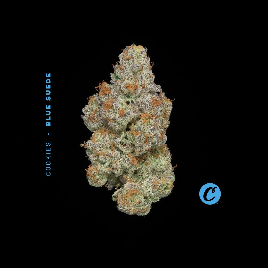 Blue Suede - Whole Buds 2.83g - Hybrid | Cookies | Bloom