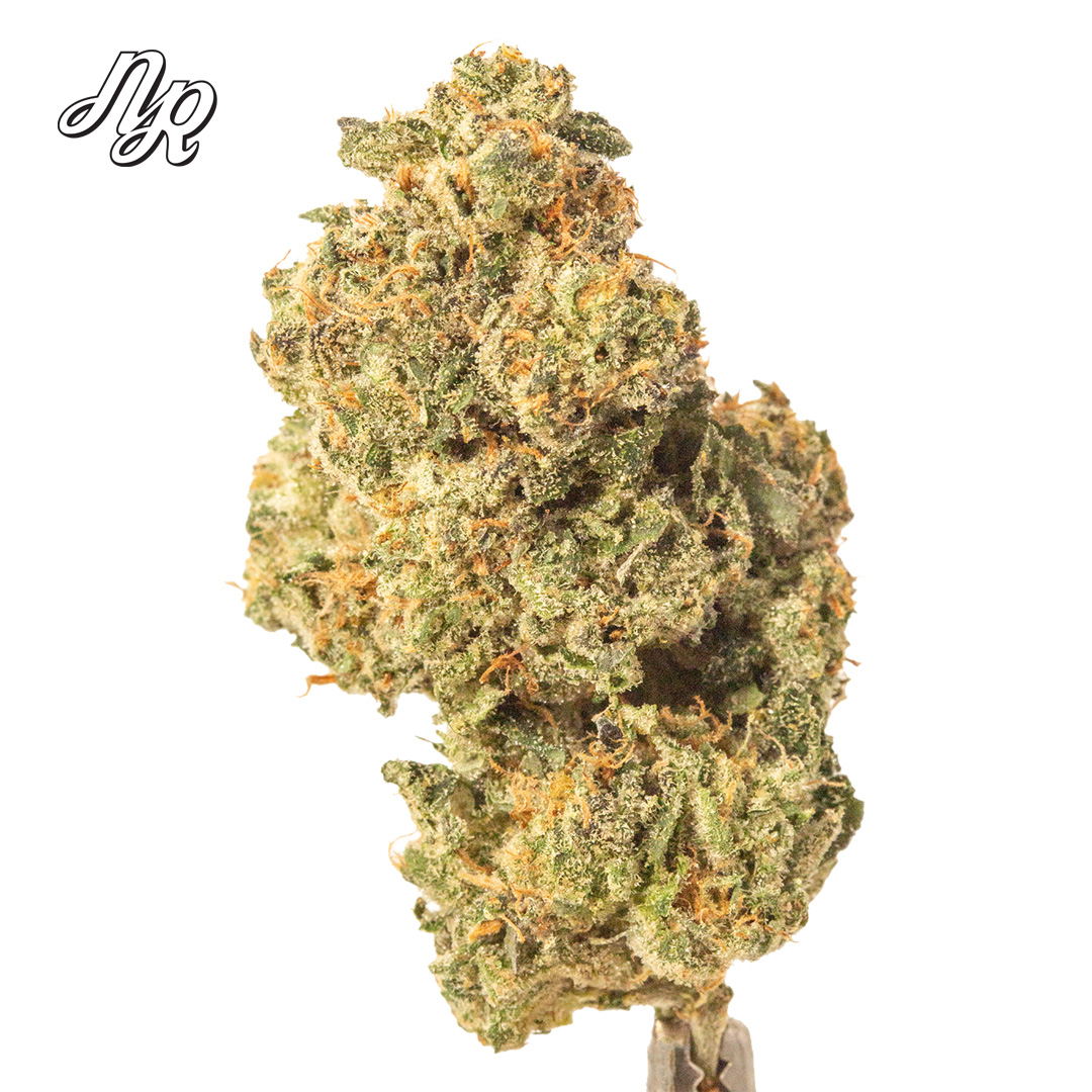 Flo Driver | Natty Rems - Jane