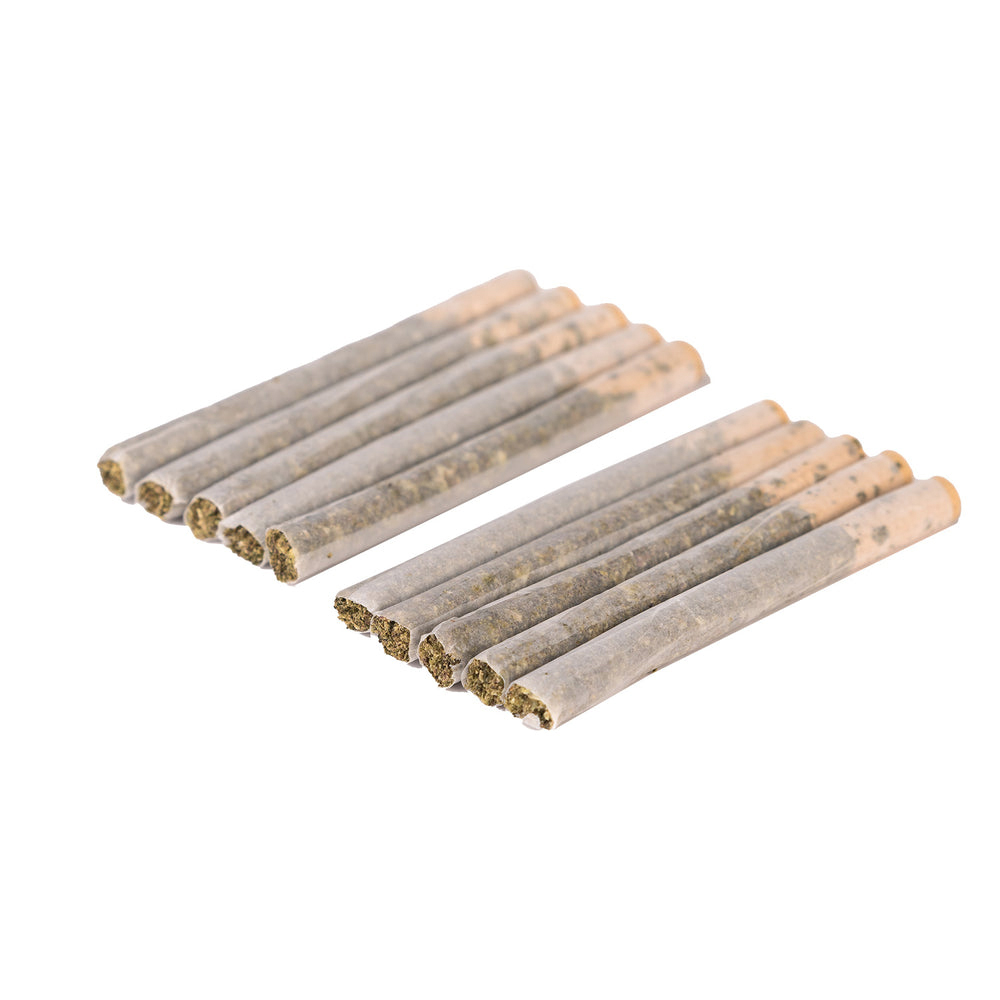 Chem Cookies & Sugar Cake [.5g] | j.a.n.e.d.o.e. | 10 Pack Pre Roll - Jane