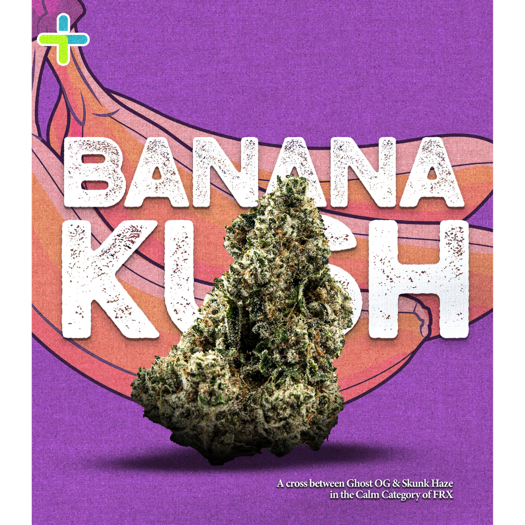 Banana Kush - 2.83g Whole Buds - Indica | Farmaceutical Rx | Bloom