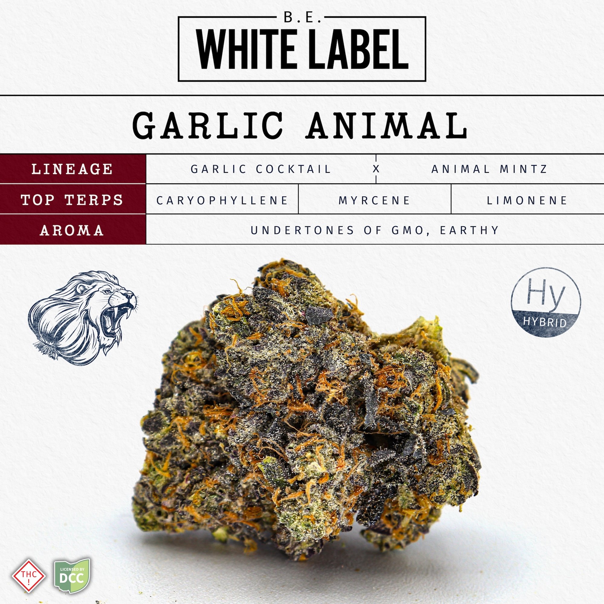Garlic Animal - 2.83g Whole Buds - Hybrid | Butterfly Effect | Bloom