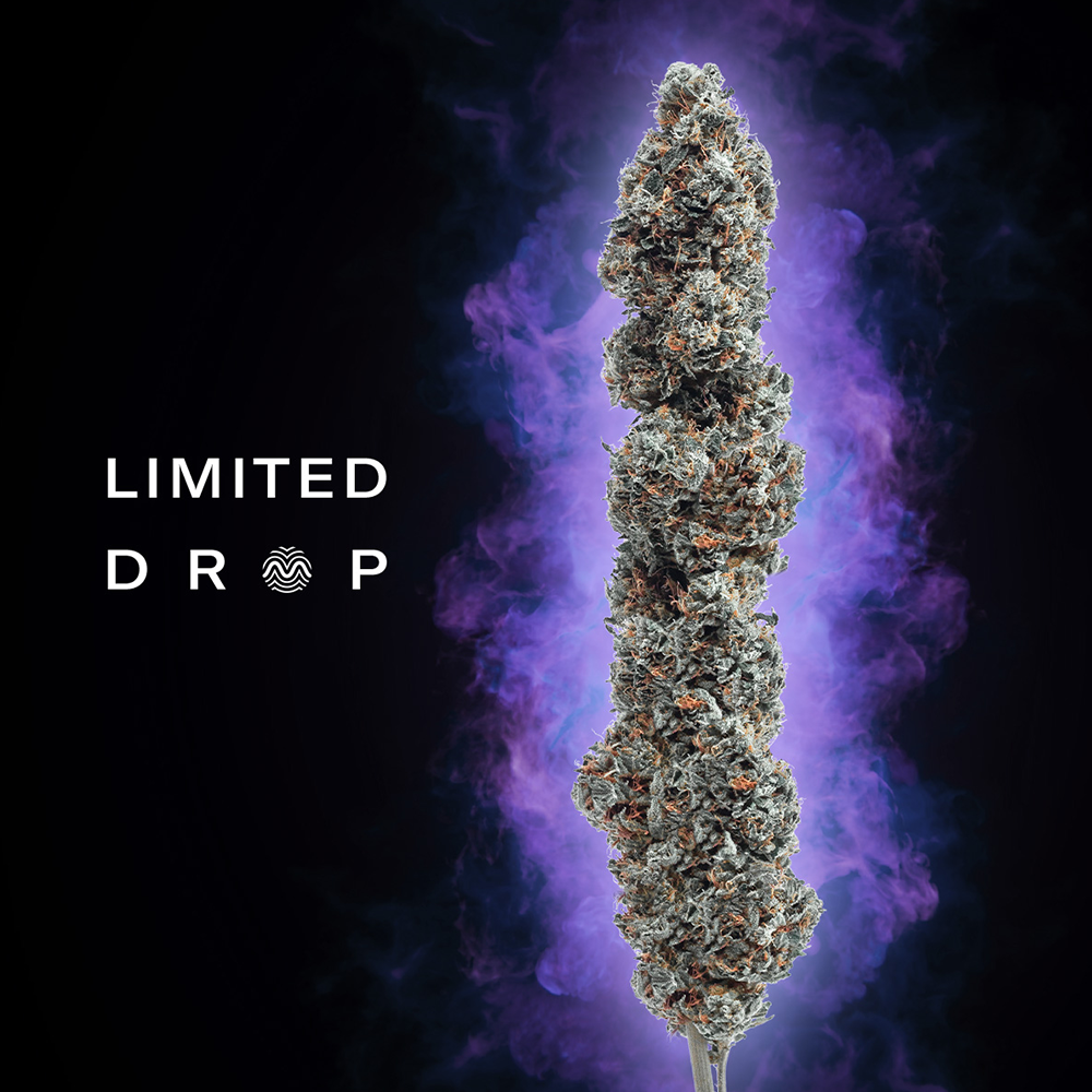 Rythm 14g Black Maple 22 Queen Cola (I) 01066