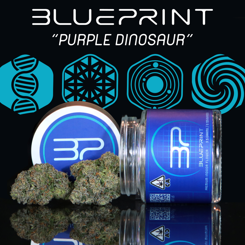 Blue Print Purple Dino Cannabis for sale Phoenix AZ - Sol Flower Dispensary