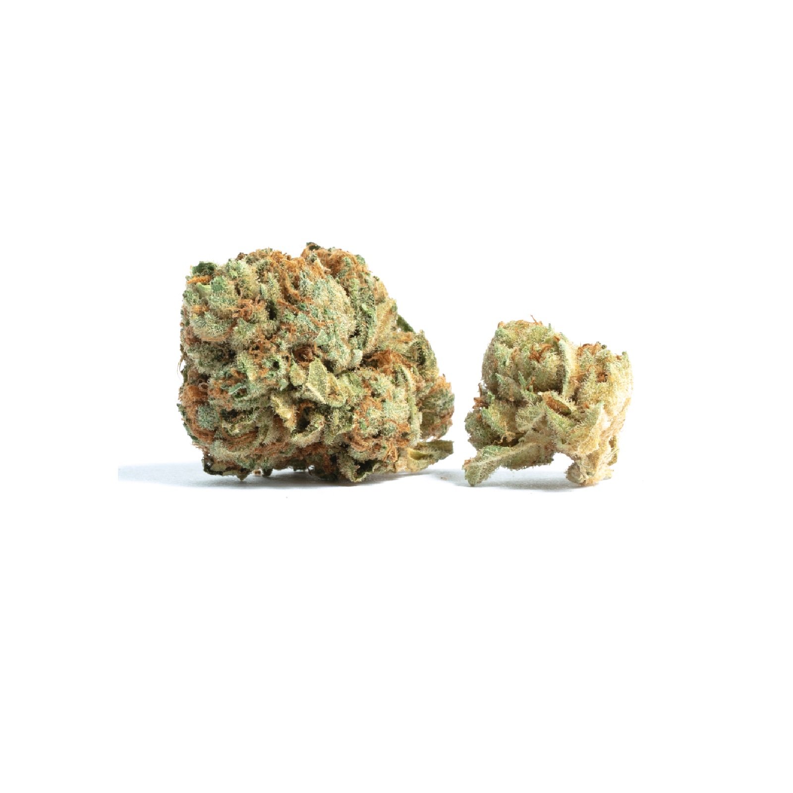 Dime Bag - White Runtz - | Caliva