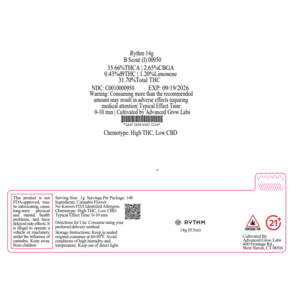 RYTHM 14G B SCOUT (I) 00950