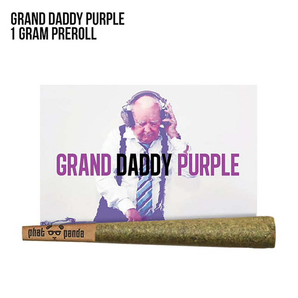 Granddaddy Purple [1g] | Phat Panda | Pre Rolls - Jane
