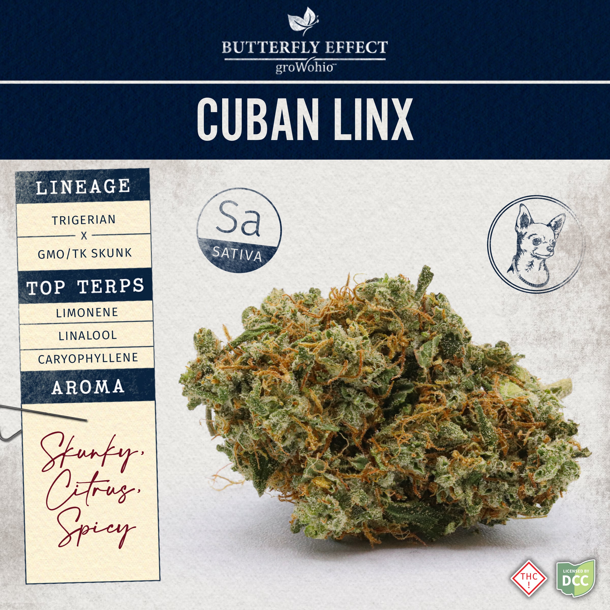 Cuban Linx - 14.15g Whole Buds - Sativa | Butterfly Effect | Bloom