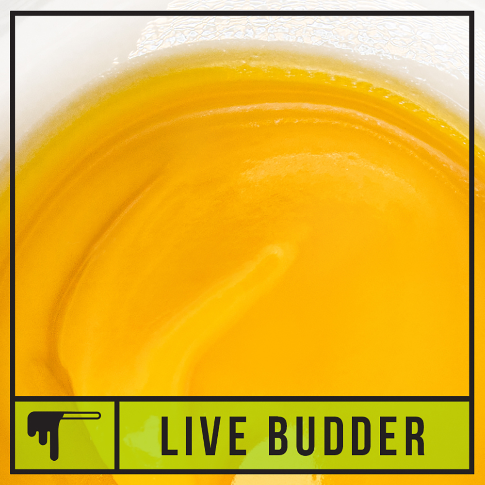 ATF [2g] | Natty Rems | Live Budder Bucket - Jane