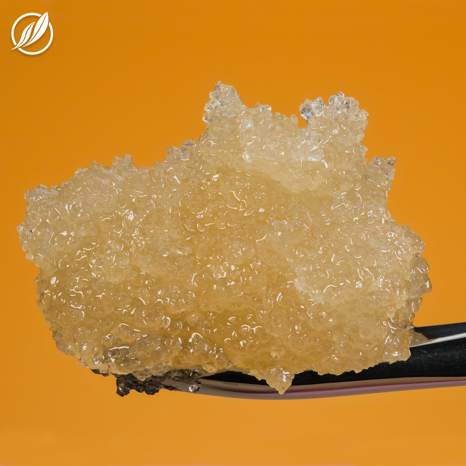 Tussaden BHO Live Resin Sugar T78.86% S 20540 | CTPharma | Live Sugar ...