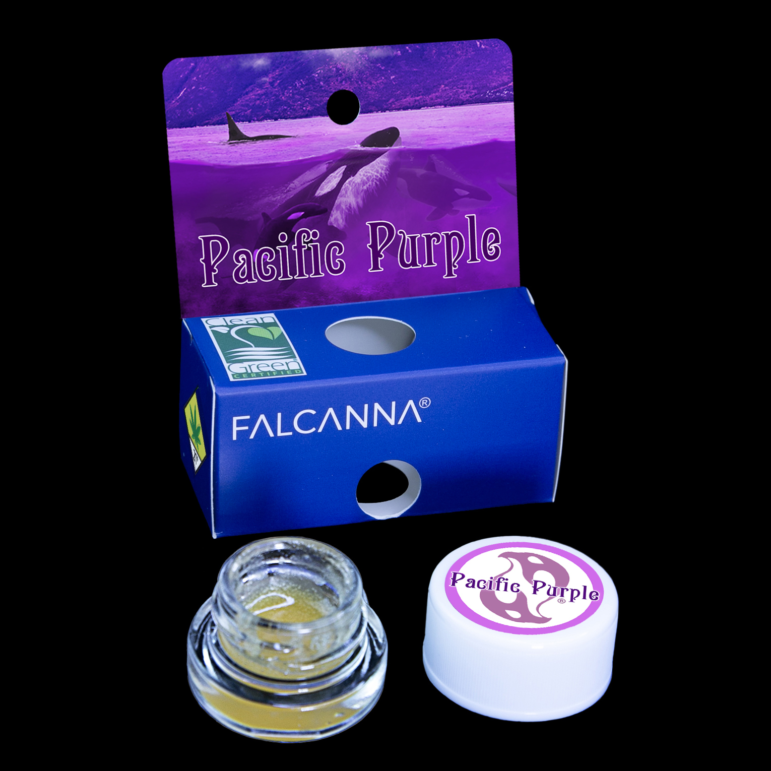 Falcanna Pacific Purple Cold Cured Badder - Craft Cannabis Dispensary