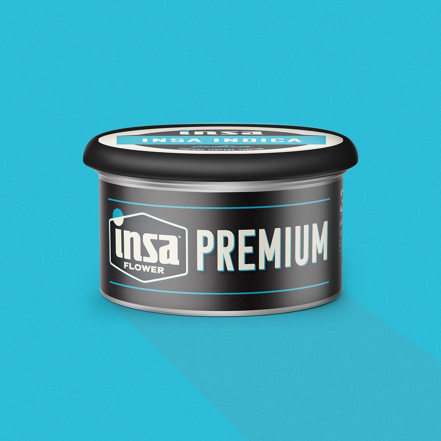 OGKB 2.0 | Insa | Premium - Jane