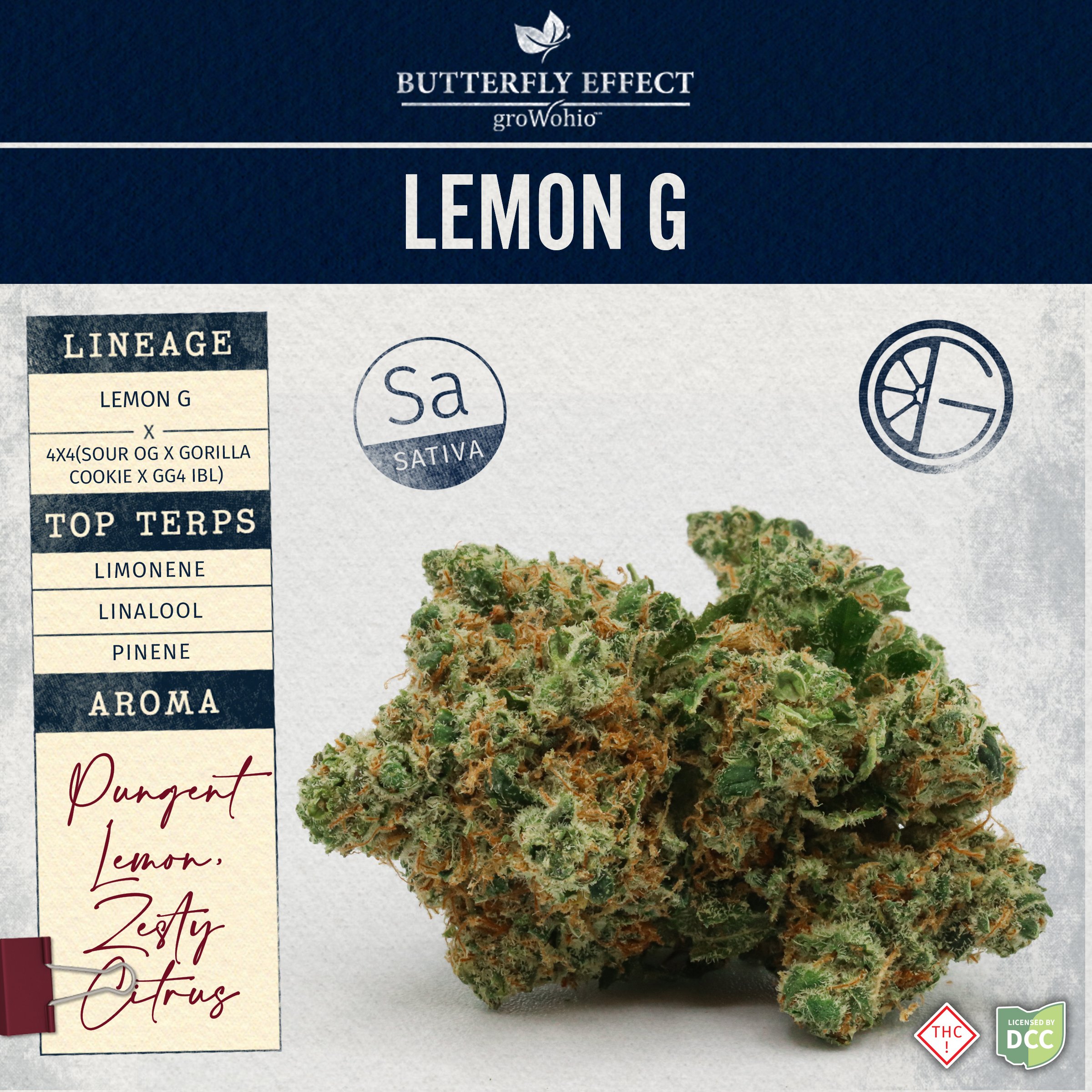 Lemon G - 14.15g Whole Buds - Sativa | Butterfly Effect | Bloom