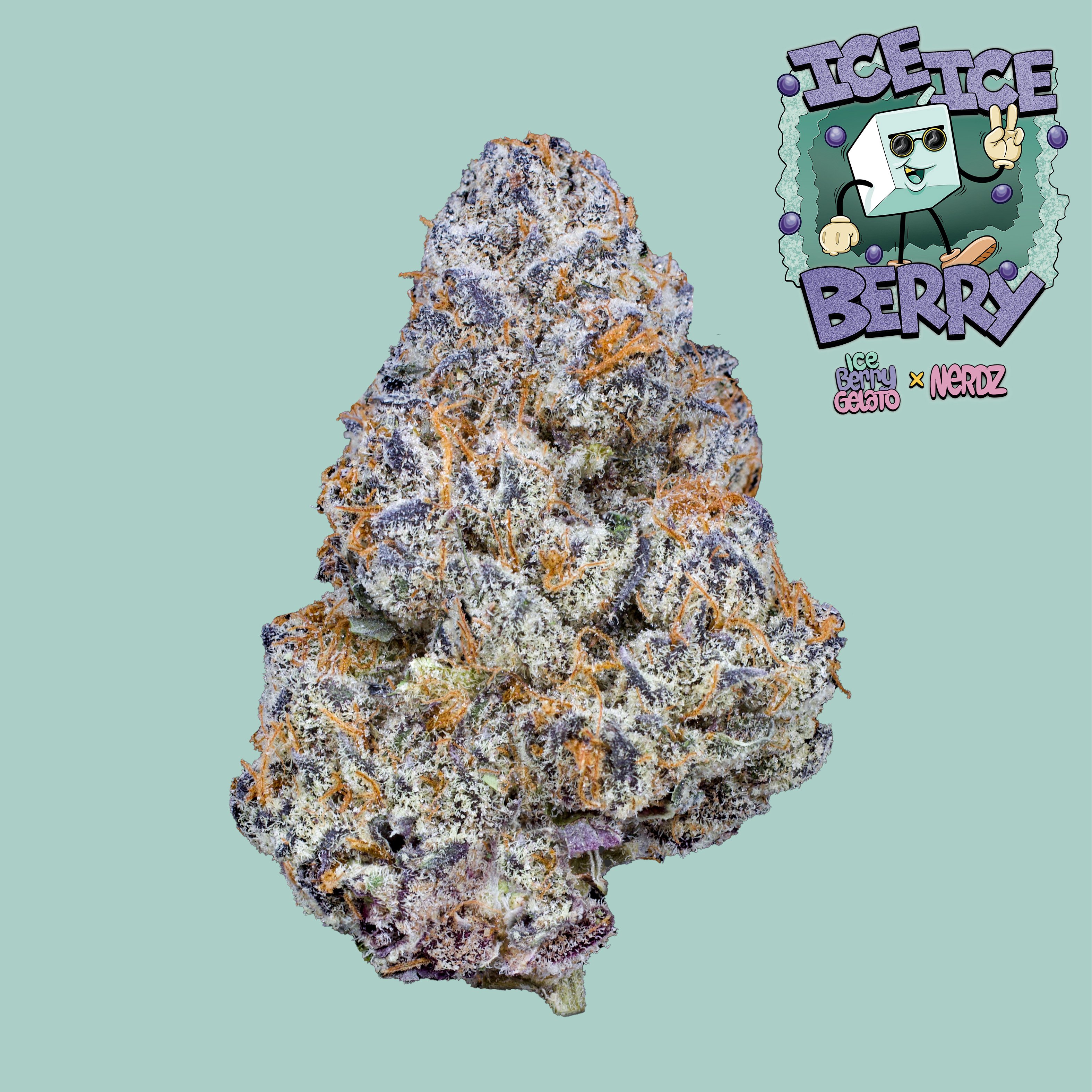Ice Ice Berry - Freddy's Finest | Freddy's Fuego | Freddy's Finest ...
