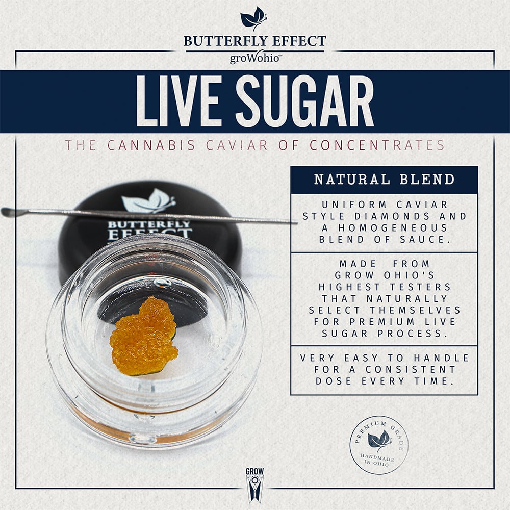 Inferno [1.7g] | Butterfly Effect | Butterfly Effect Live Sugar Bucket ...