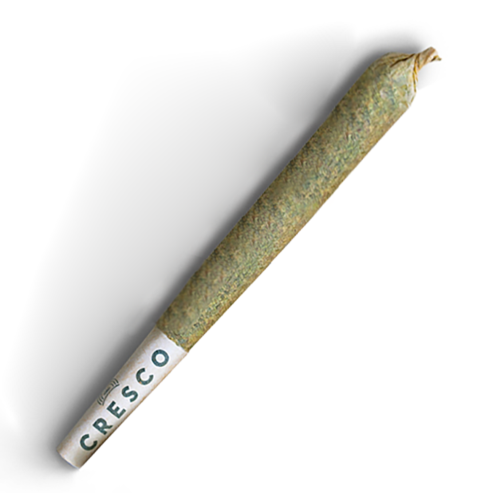 Morning Dew [.5g] | Cresco™ | 2 Pack Infused Pre-roll - Jane