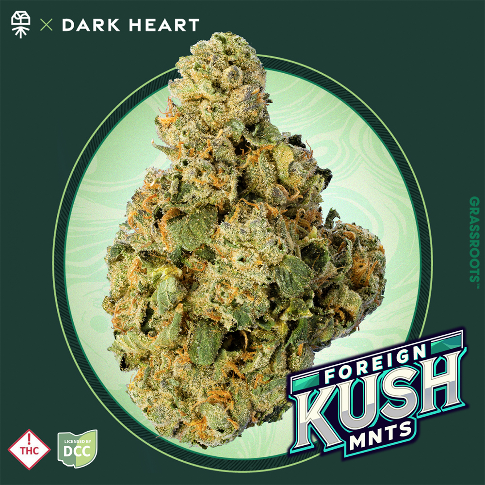 Shop Curaleaf - Foreign Kush Mints (I) Flower C0030001192 | Fine Fettle ...