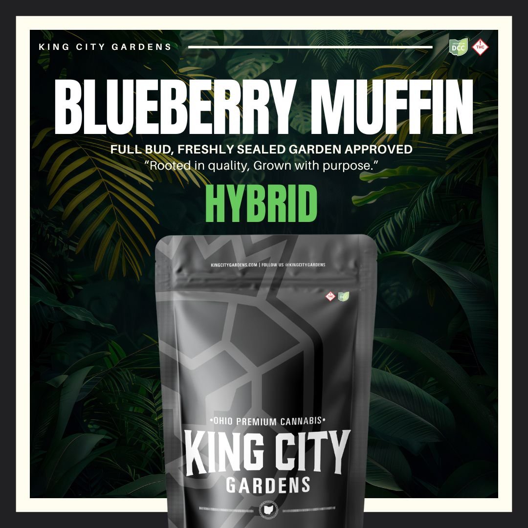 Blueberry Muffin - 14.15g Whole Buds - Hybrid | King City Gardens | Bloom